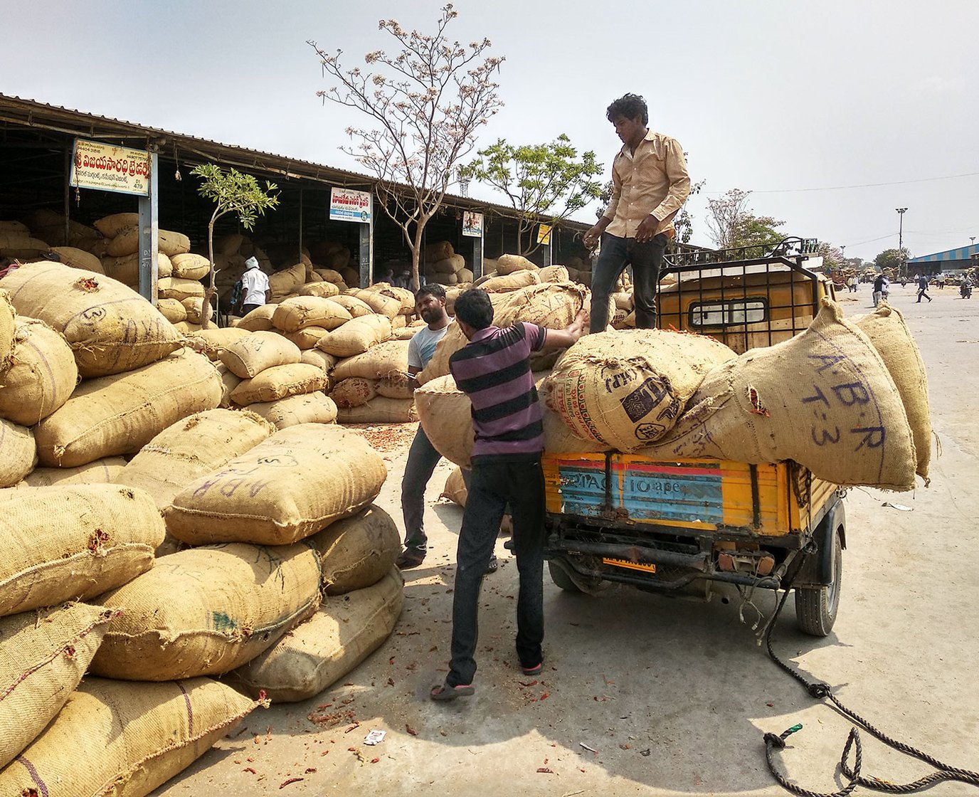 Waiting For Fair Prices In Guntur Waiting For Fair Prices In Guntur