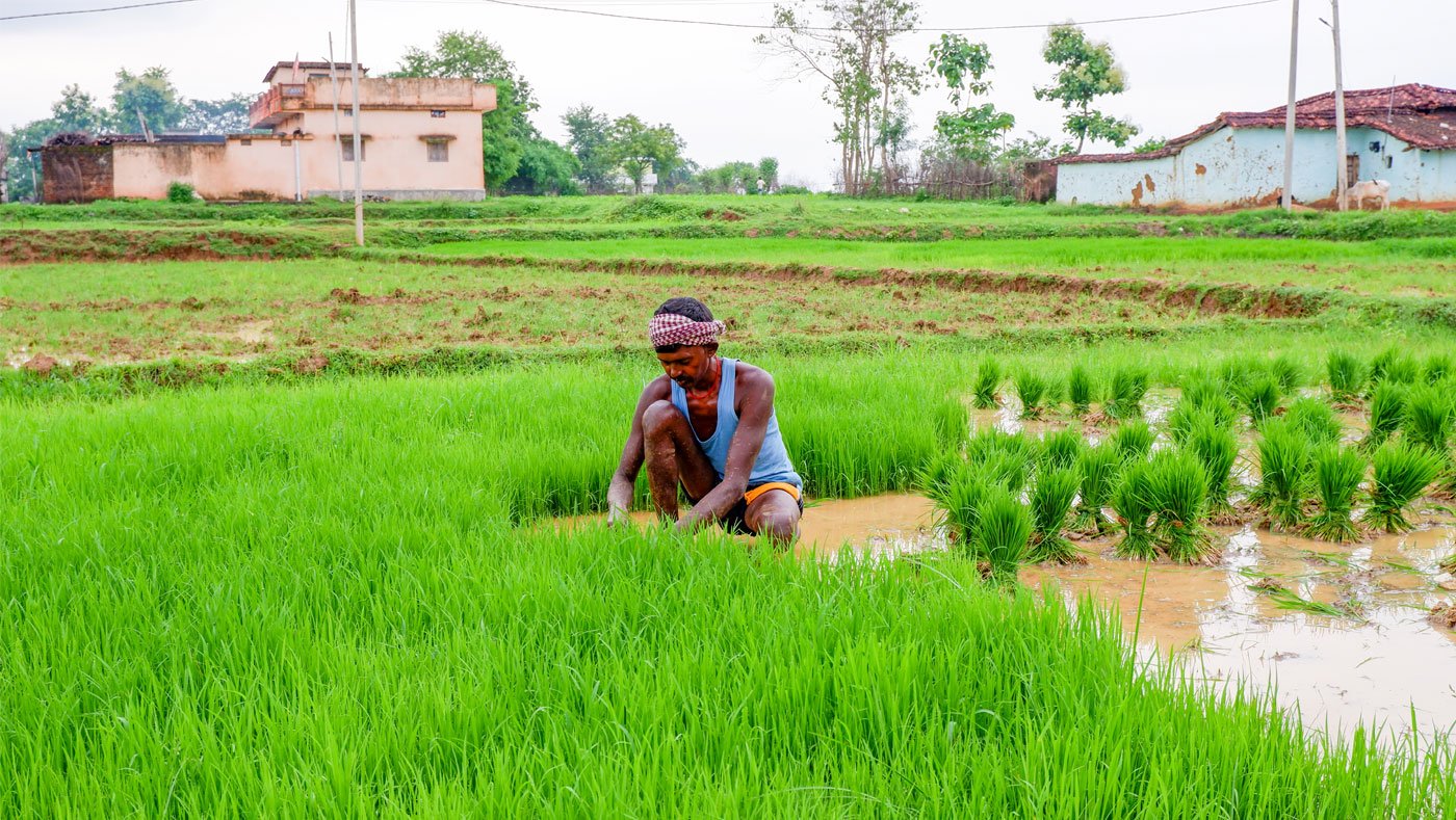 People's Archive of Rural India