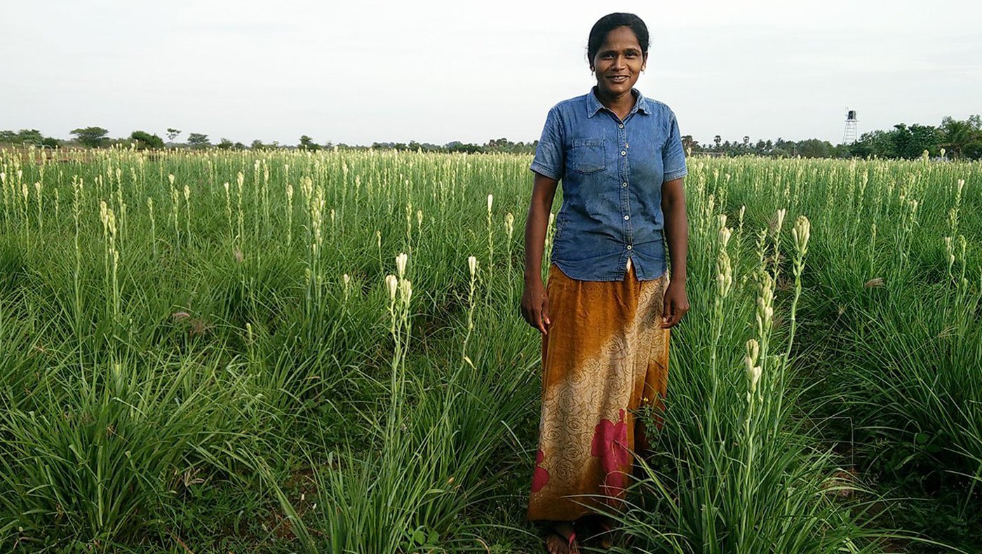 People's Archive of Rural India