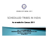 Scheduled Tribes in India: As revealed in Census 2011