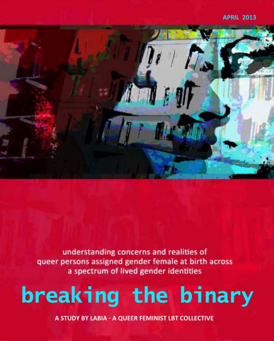 Breaking the Binary: Understanding Concerns and Realities of Queer Persons assigned Gender ...