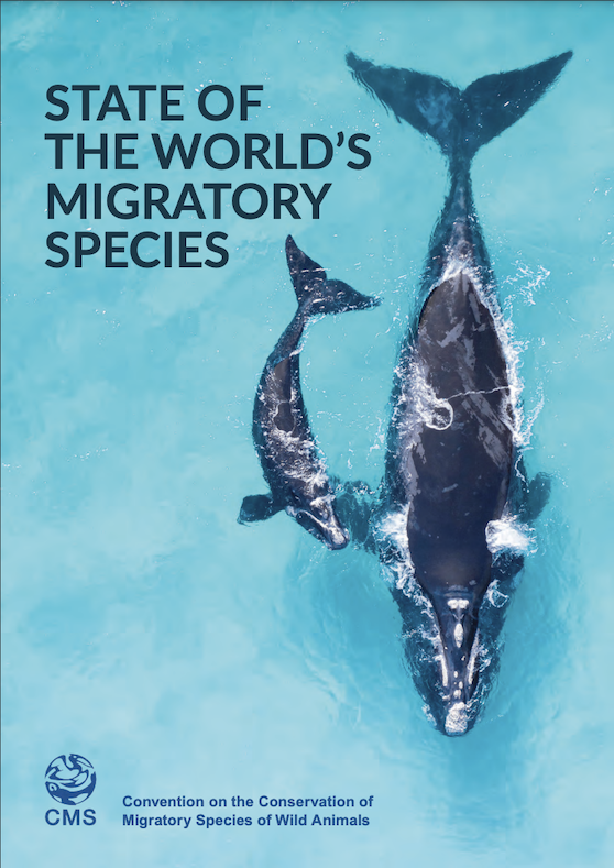 State of the World’s Migratory Species 2024