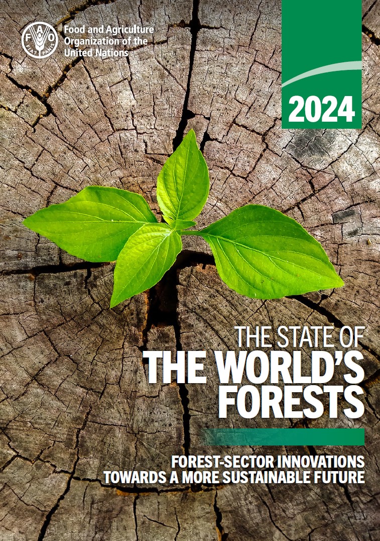 The State of the World’s Forests 2024