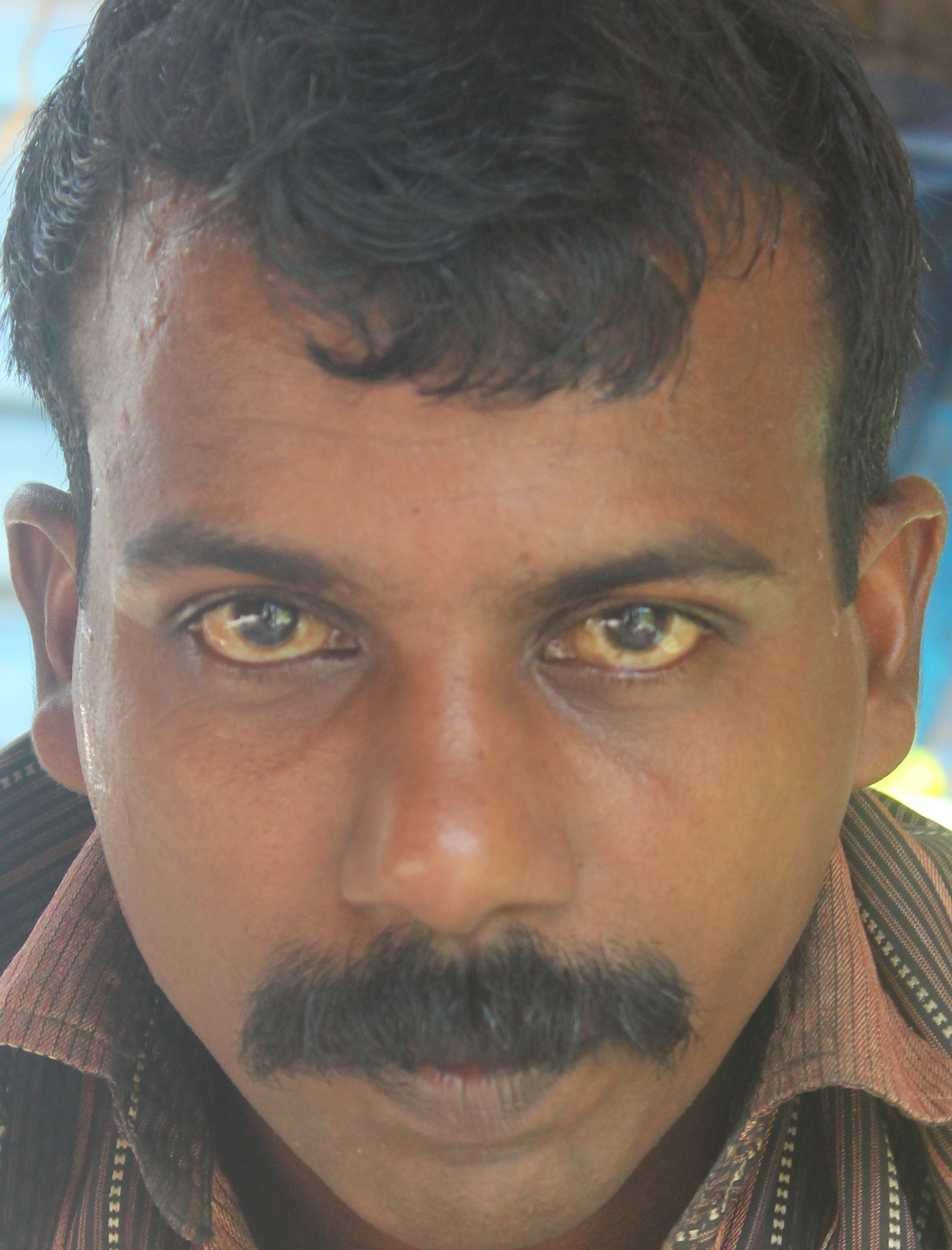 Faces